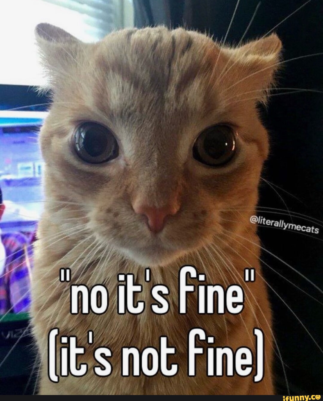 @li terallymece no its kine it's not Fine] - iFunny