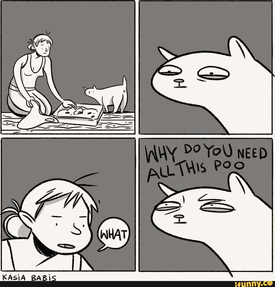 BUT I STILL EVERY TUESDAY. Despite Cyclone's serious and obvious ...