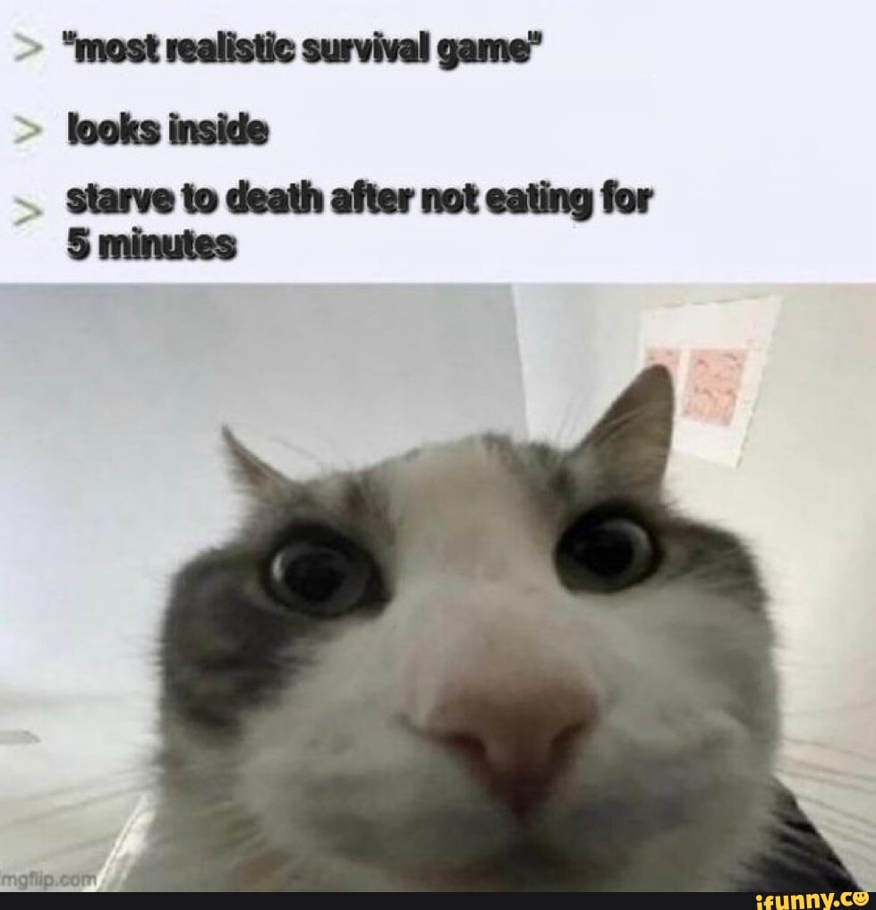 "mest realistic survival game" > looks inside Starve to death after not ...