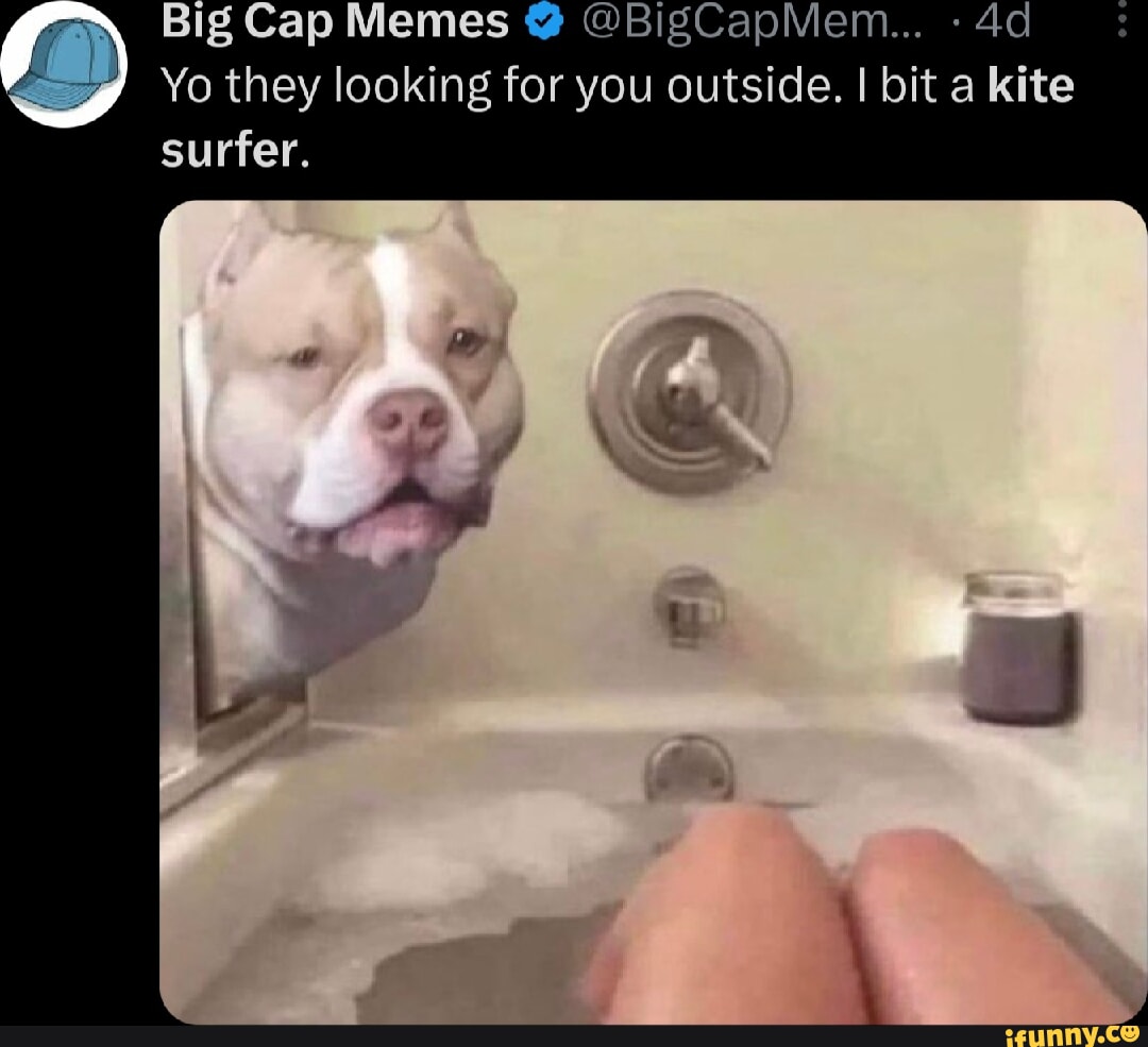 Picture memes 46c8zuttA by xCherryColaGirlx - iFunny