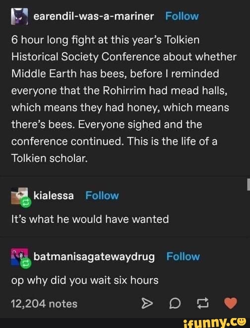 Earendil-was-a-mariner Follow 6 hour long fight at this year's Tolkien ...