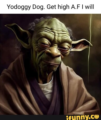 Yodoggy Dog. Get high A.F I will - iFunny