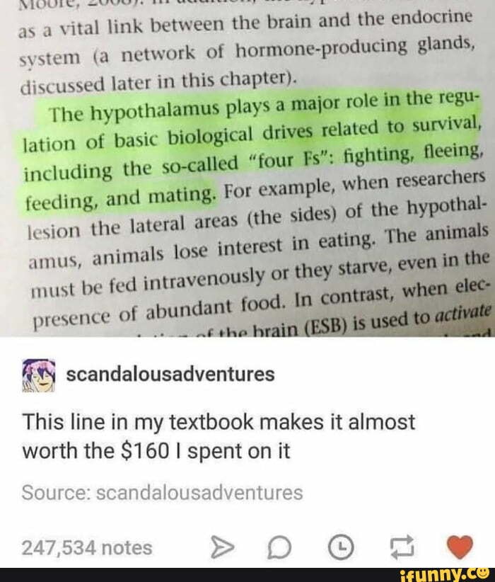 Endocrine memes. Best Collection of funny Endocrine pictures on iFunny