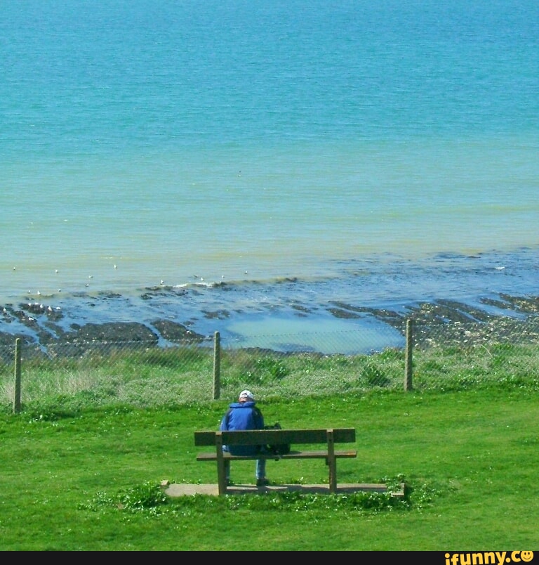 Volcel memes. Best Collection of funny Volcel pictures on iFunny