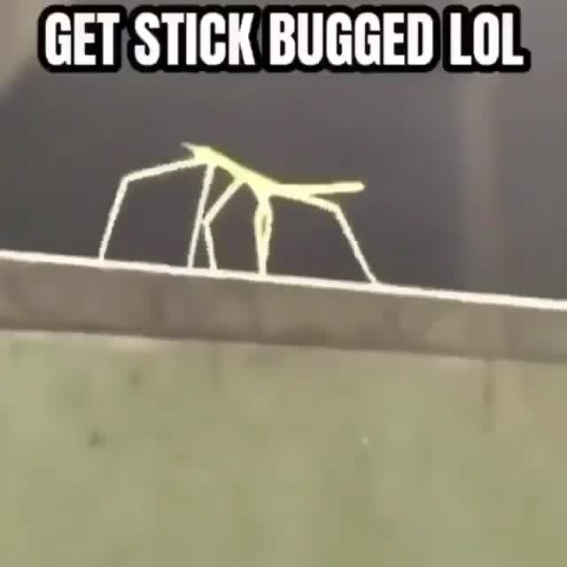 GET STICK BUGGED LOL - )