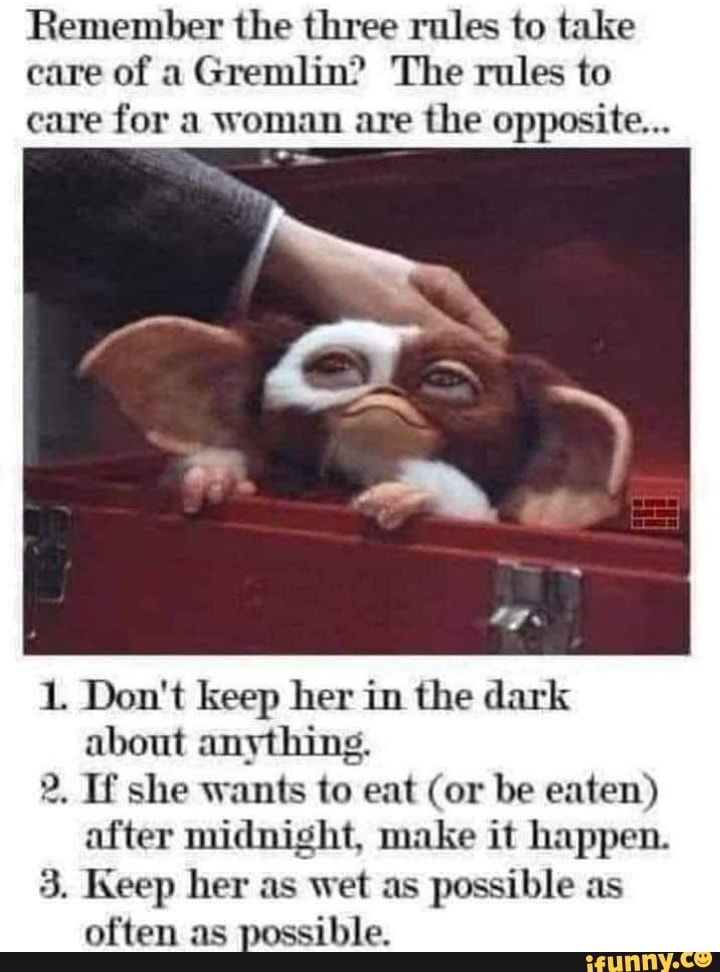 Remember the three rules to take care of a Gremlin? The rules to care ...