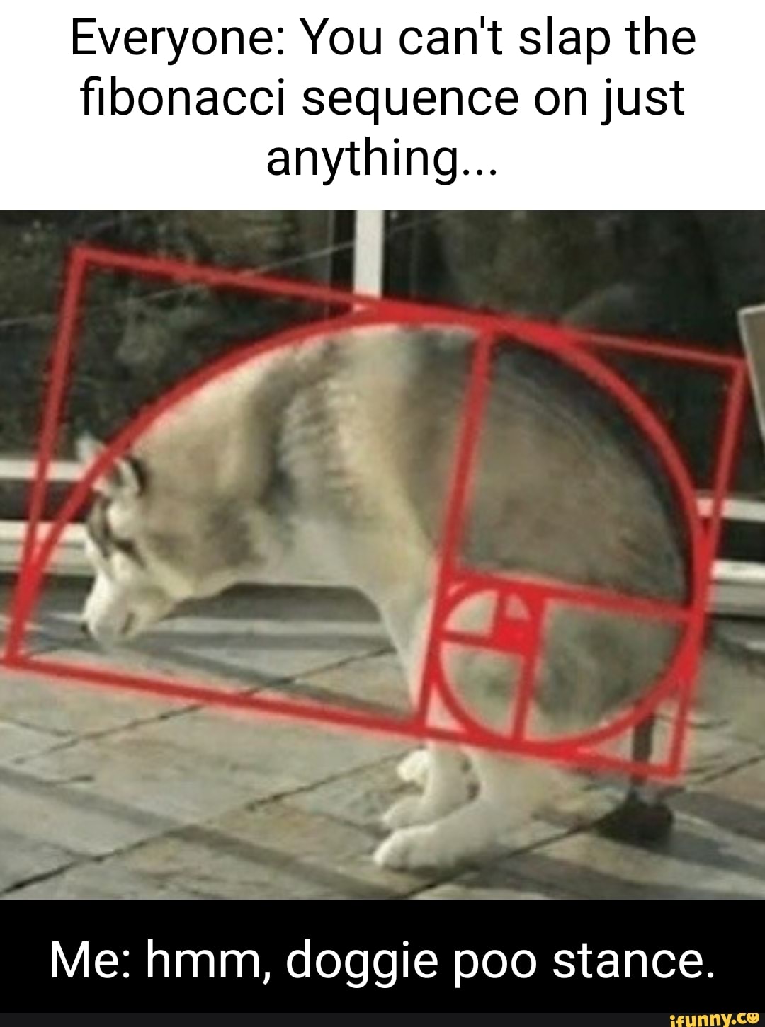 Everyone: You can't slap the fibonacci sequence on just anything... Me ...