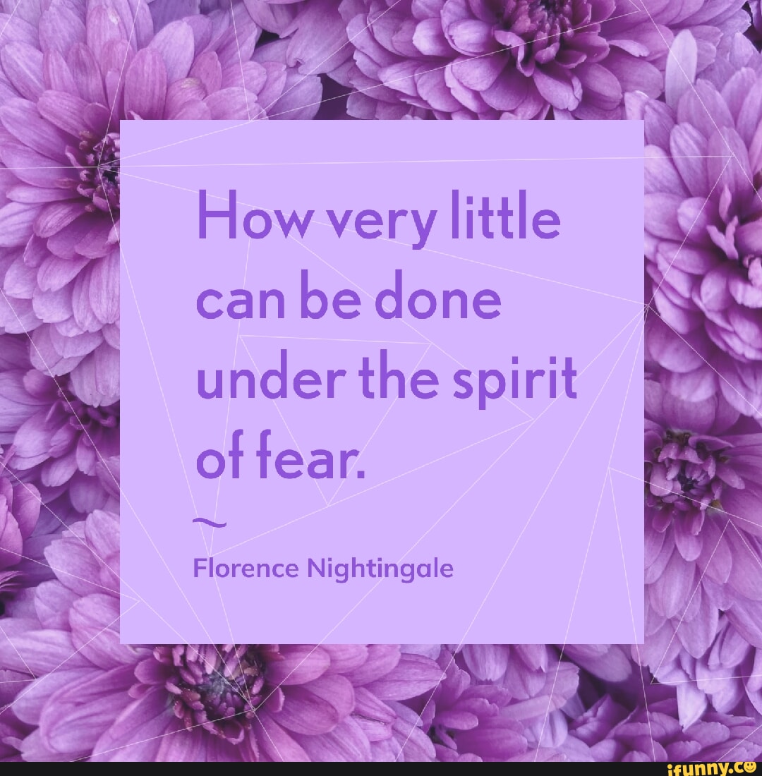 Nightingale memes. Best Collection of funny Nightingale pictures on iFunny