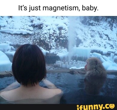 Magnetism memes. Best Collection of funny Magnetism pictures on iFunny
