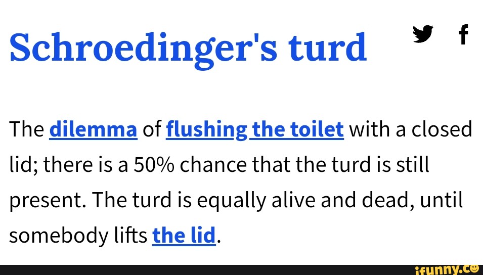 Schroedinger's turd The dilemma of flushing the toilet with a closed ...