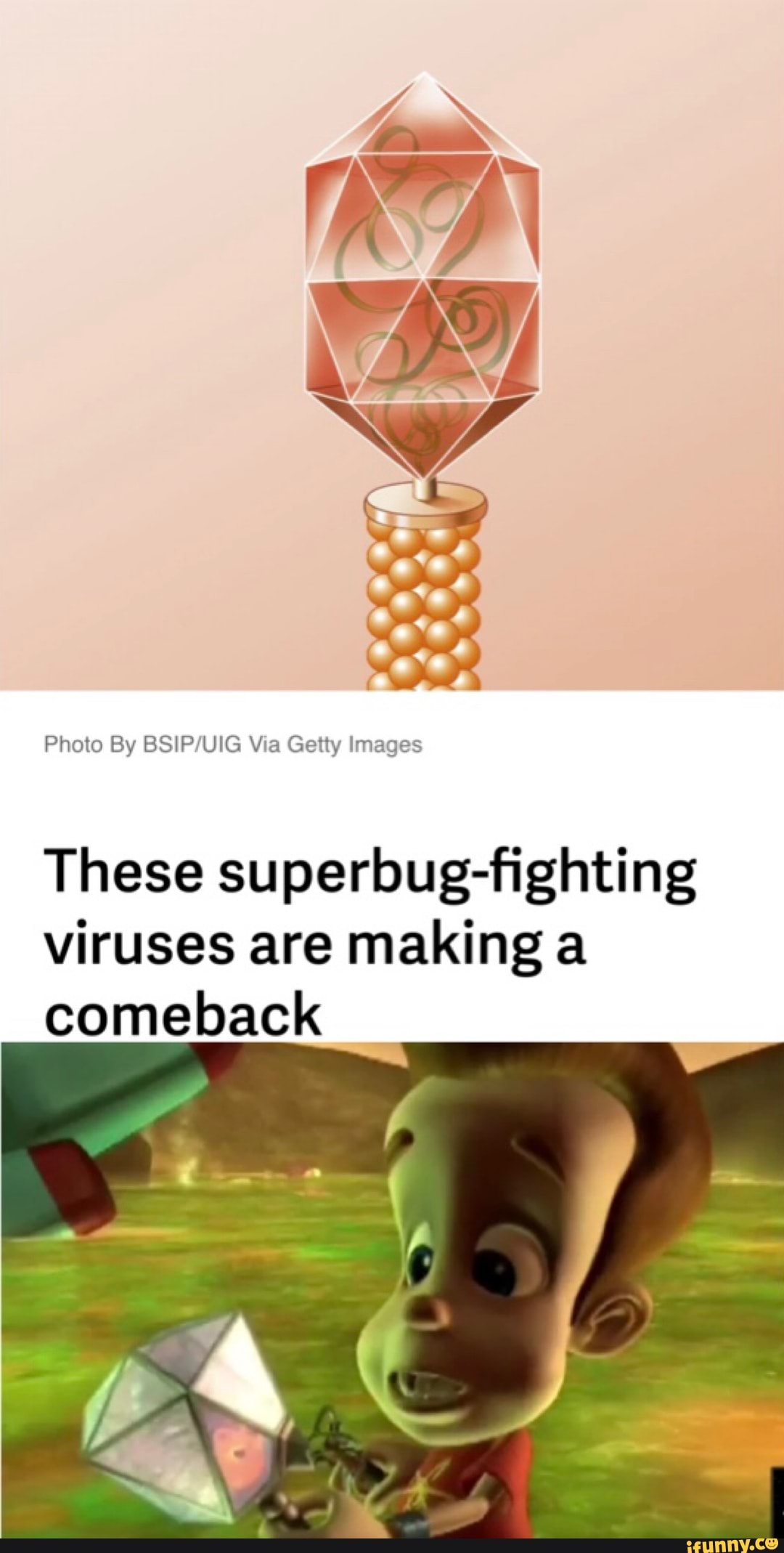 These superbug-fighting viruses are making a comeback - iFunny