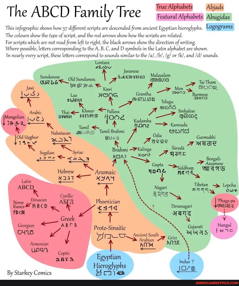 The ABCD Family Tree This infographic shows how 57 different scripts ...