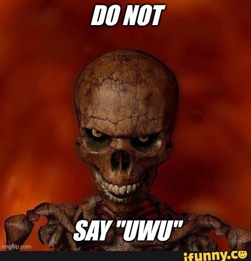 DO NOT SAY "UWU" - iFunny