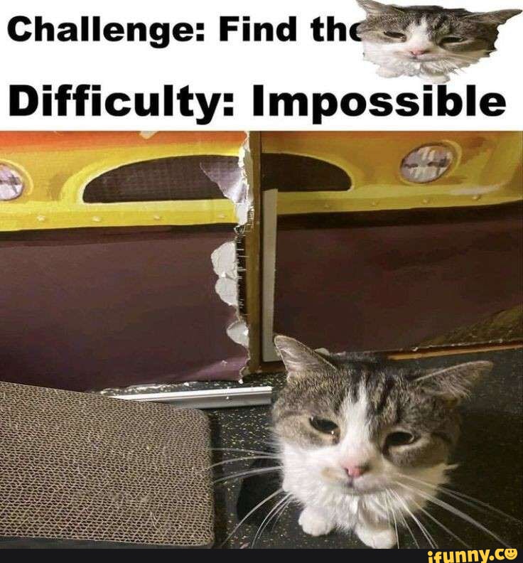 Video memes Gs48nCA9B by Trigger: 121 comments - iFunny