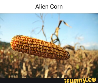 Picture memes hdYsPBF4A by Corn_HUBB - iFunny
