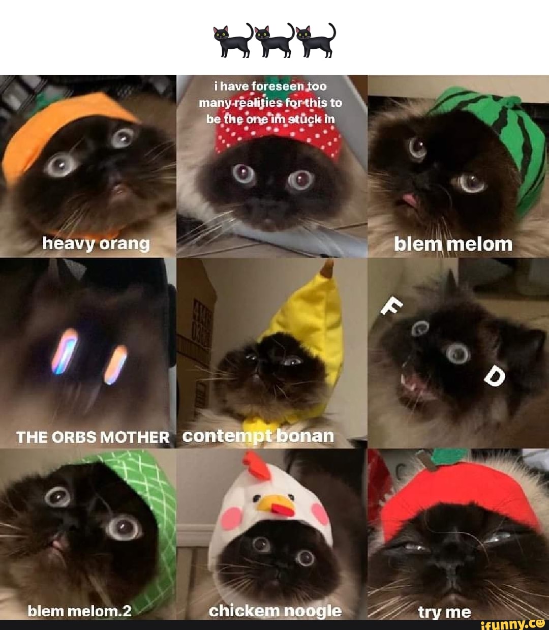 Noogie memes. Best Collection of funny Noogie pictures on iFunny