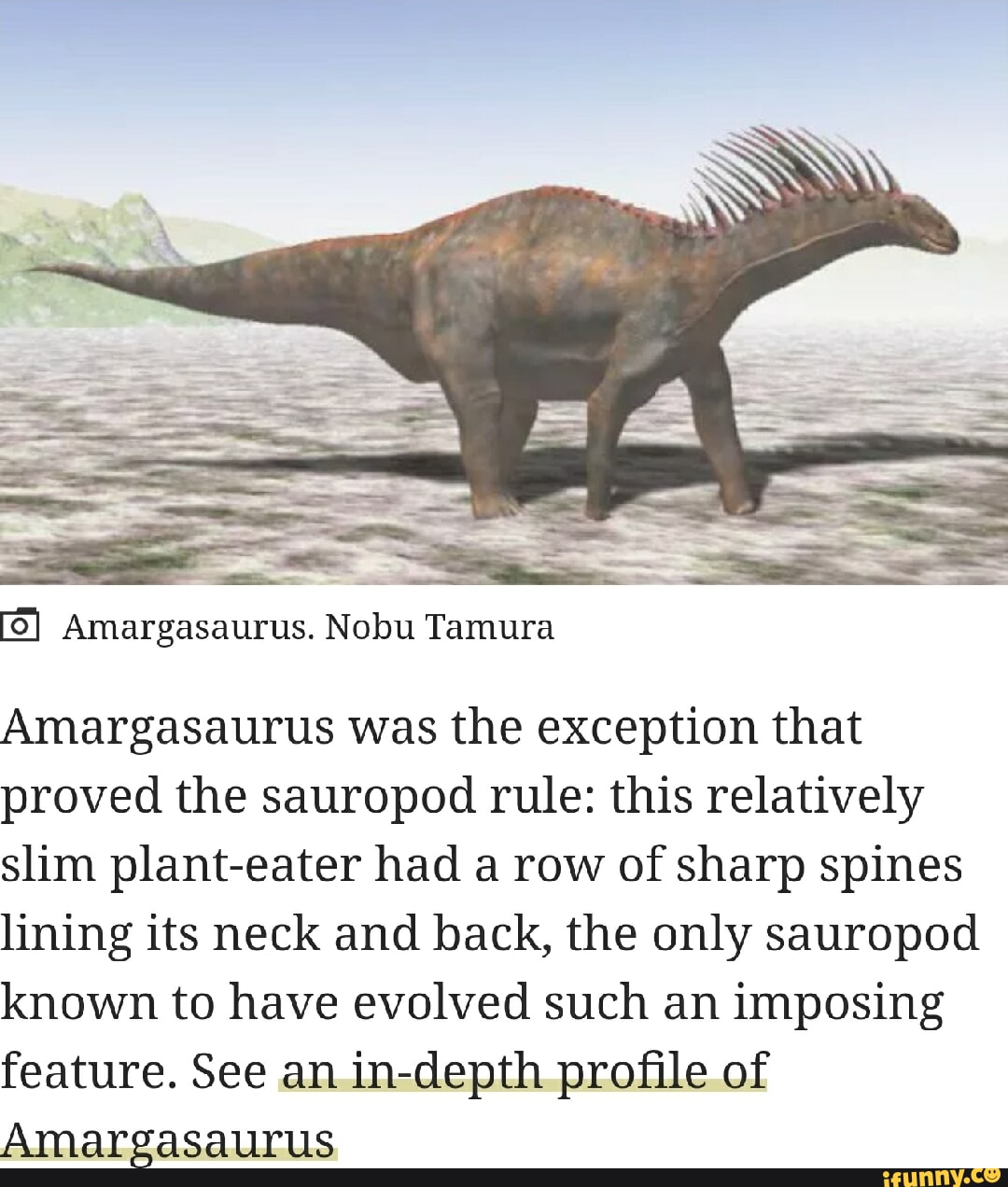 [6] Amargasaurus. Nobu Tamura Amargasaurus was the exception that proved the sauropod rule: this ...