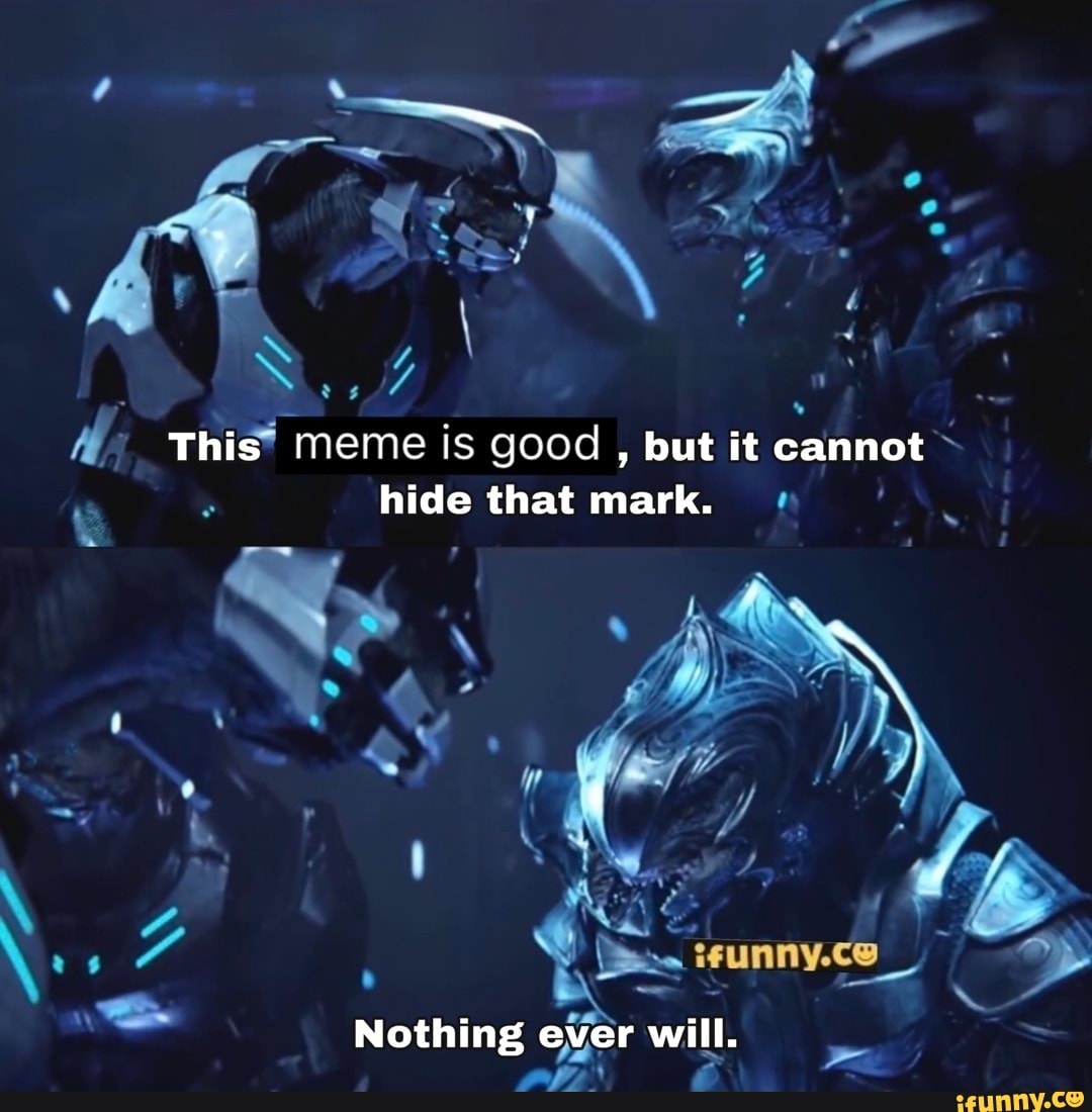 This* meme is good , but it cannot ~ hide that mark. Nothing ever will ...