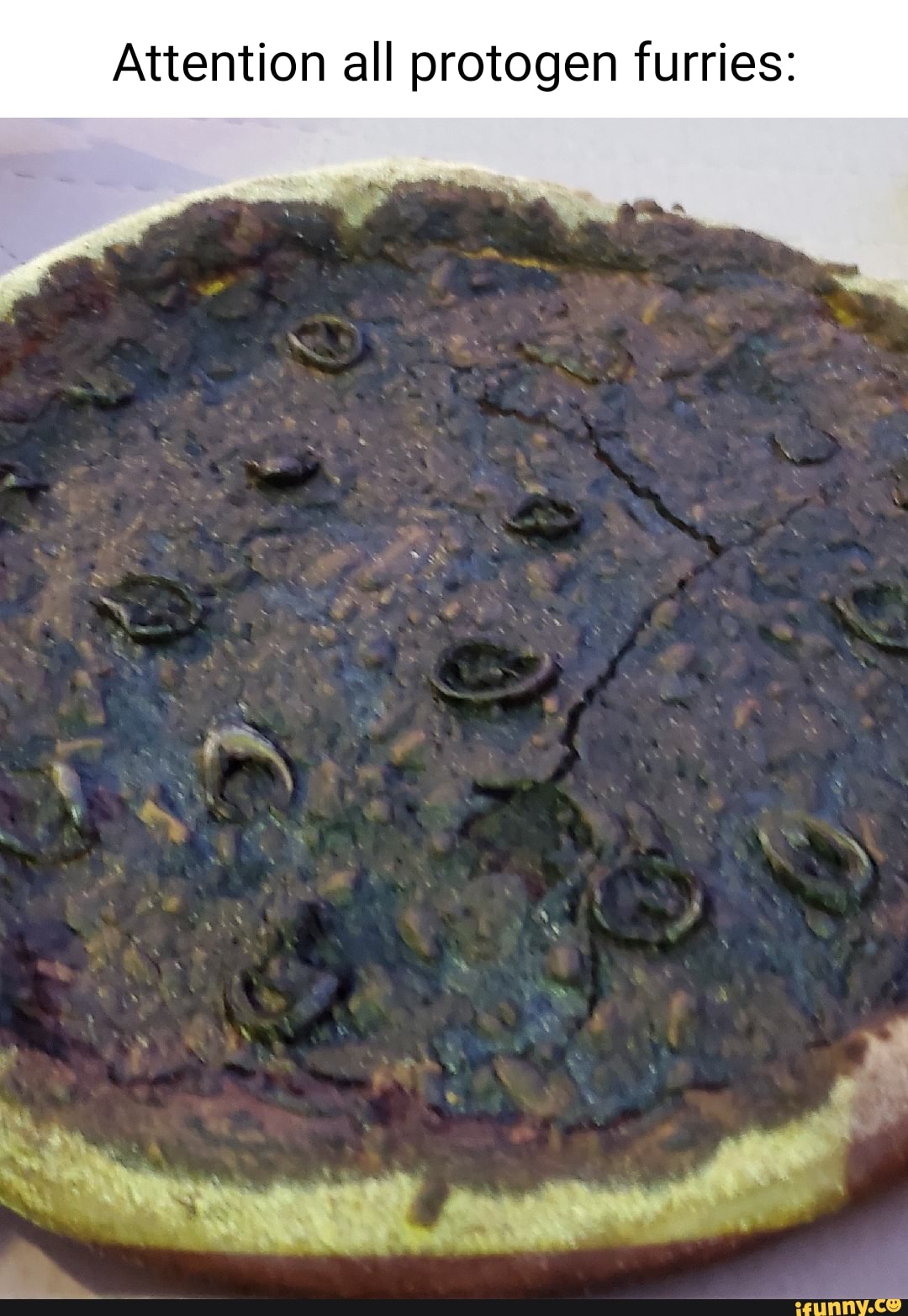 Attention all protogen furries: - iFunny