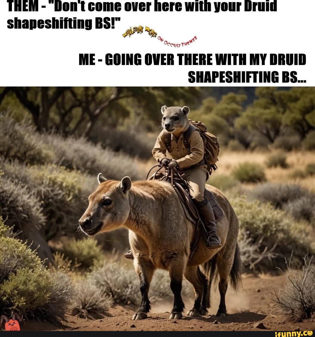 Druid memes. Best Collection of funny Druid pictures on iFunny