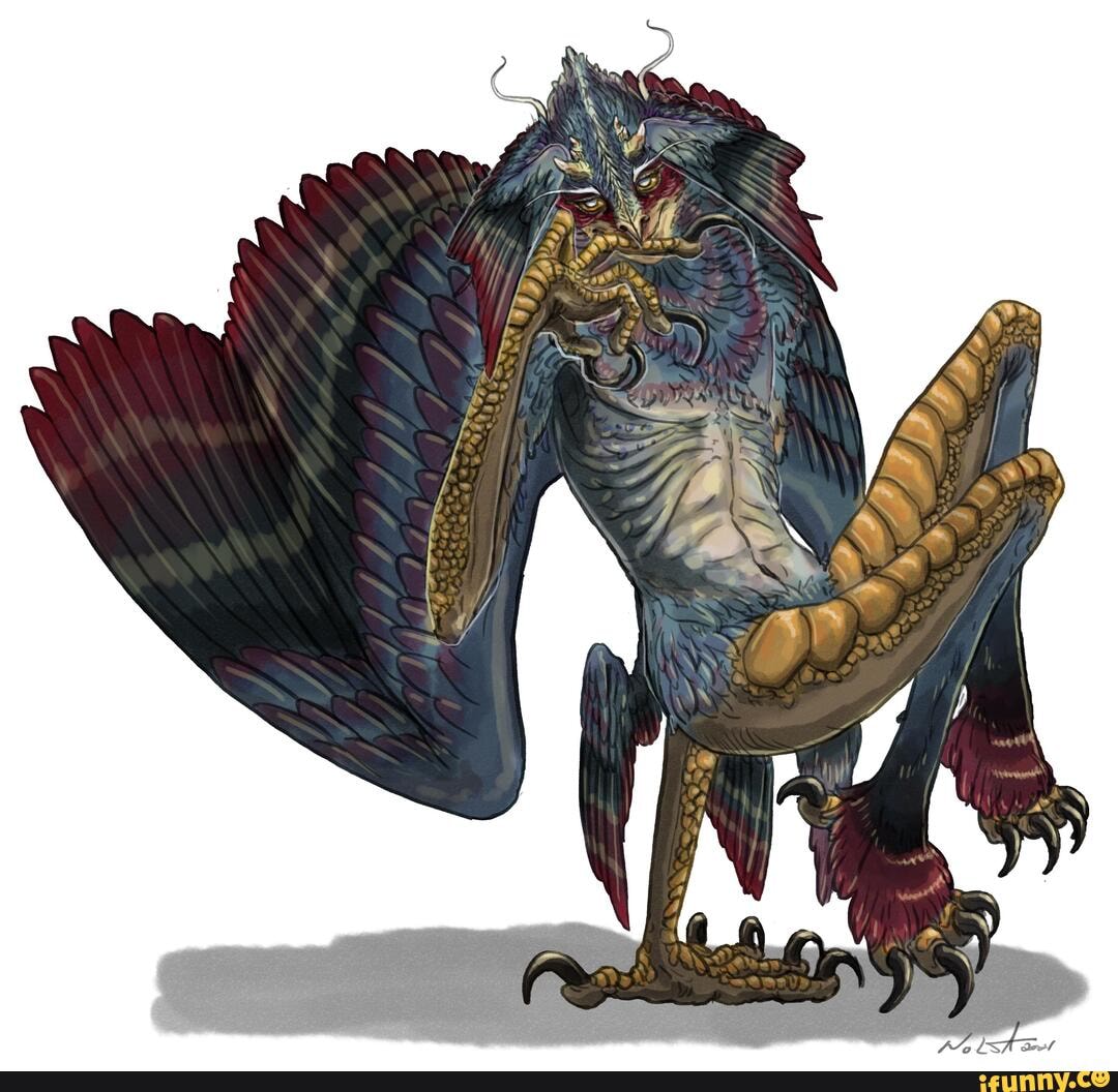 Harpia memes. Best Collection of funny Harpia pictures on iFunny