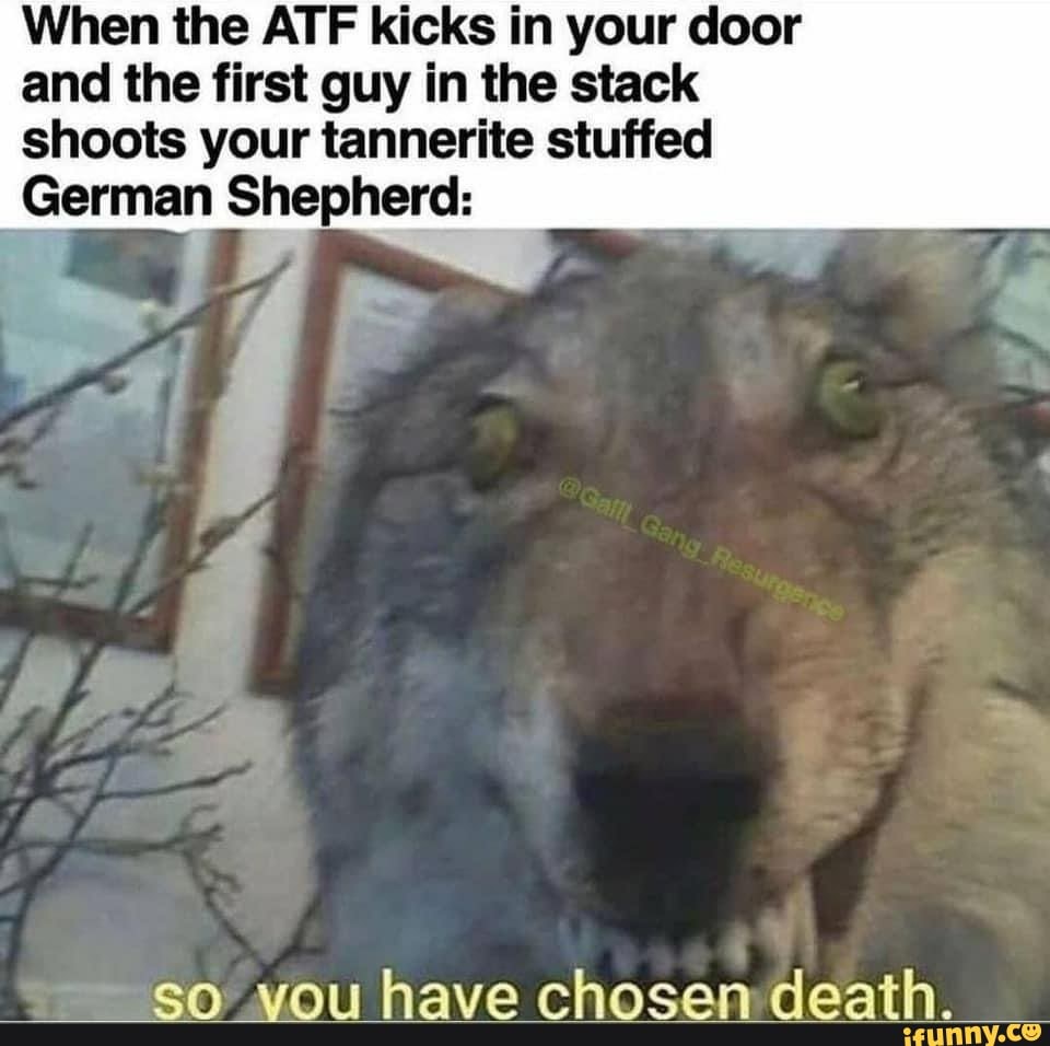 When the ATF kicks in your door and the first guy in the stack shoots ...