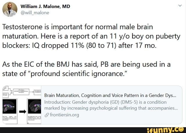 Maturation memes. Best Collection of funny Maturation pictures on iFunny