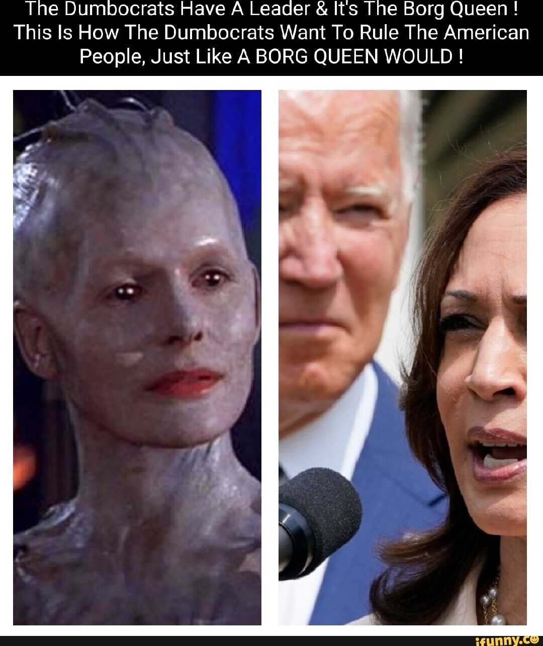 The Dumbocrats Have A Leader & Its The Borg Queen ! This Is How The ...