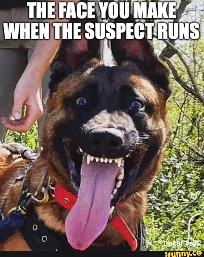 Pixar is called "Pixcar Animation Factory" in the Cars Universe. Their ...