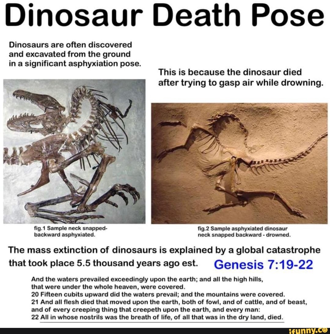 Dinosaur Death Pose Dinosaurs are often discovered and excavated from ...