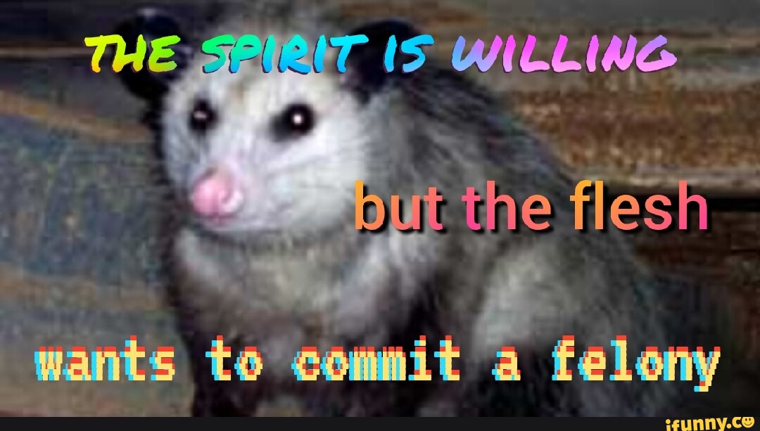 *People doing riots because of racism* The buildings: Don't be racist ...