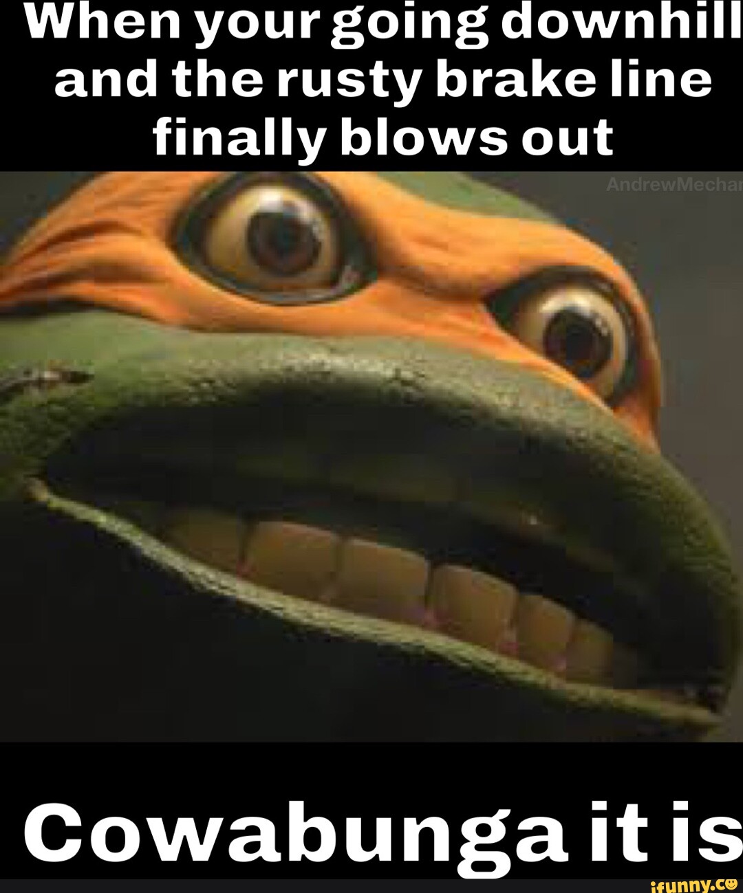 Cowabunga memes. Best Collection of funny Cowabunga pictures on iFunny