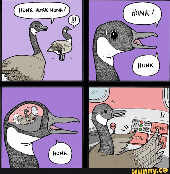 Honk memes. Best Collection of funny Honk pictures on iFunny