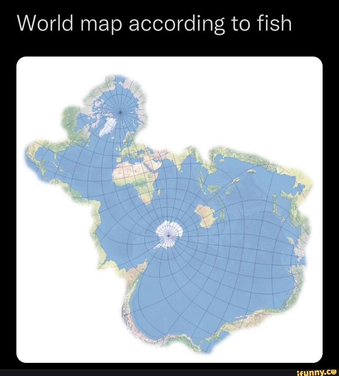 World map according to fish - iFunny