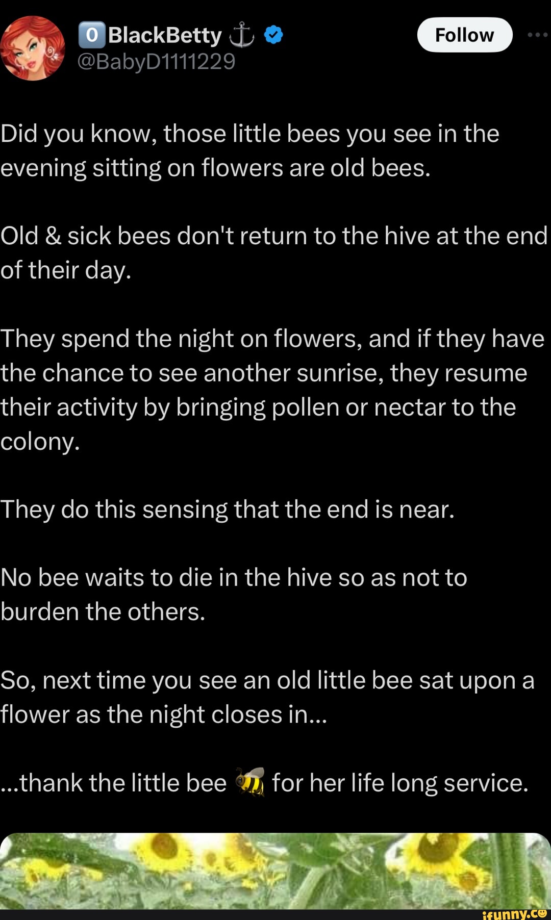 Hive memes. Best Collection of funny Hive pictures on iFunny