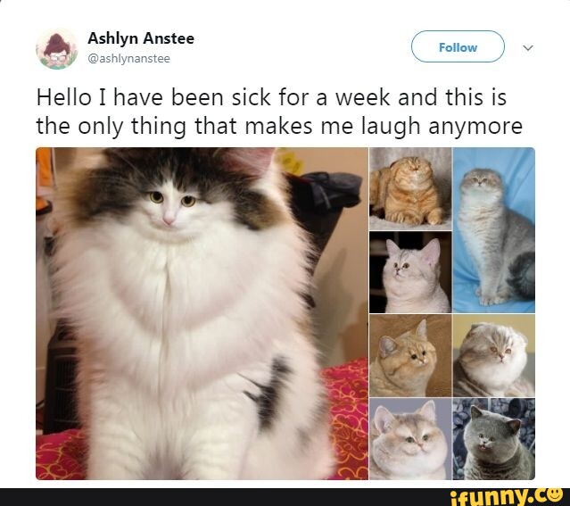 Ashlyn memes. Best Collection of funny Ashlyn pictures on iFunny