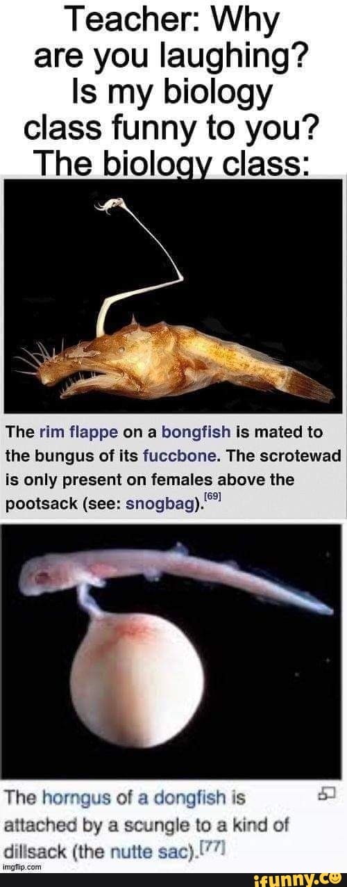 Bongfish memes. Best Collection of funny Bongfish pictures on iFunny