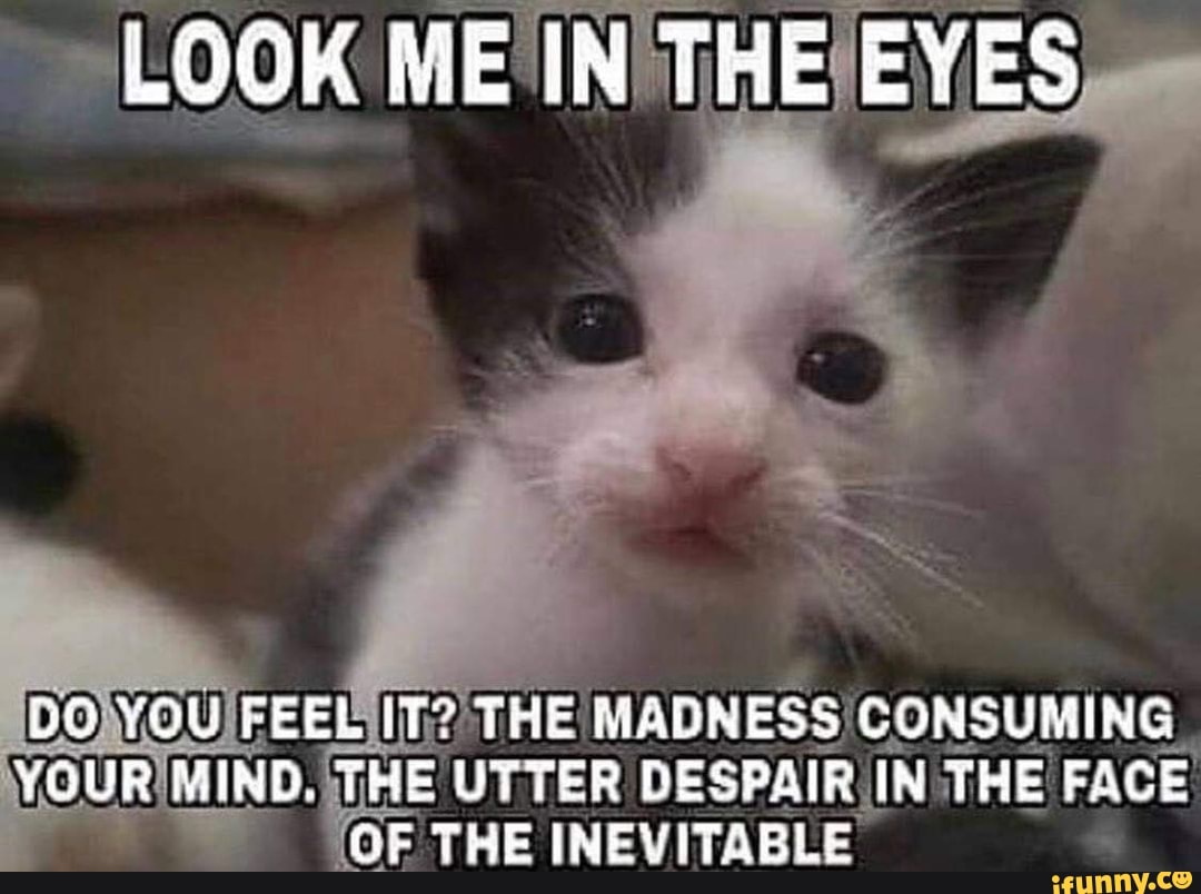 Utter memes. Best Collection of funny Utter pictures on iFunny