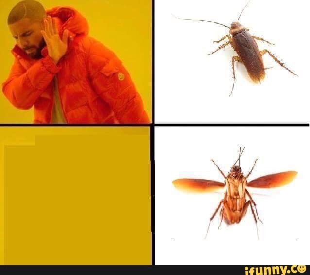 Waterbug memes. Best Collection of funny Waterbug pictures on iFunny