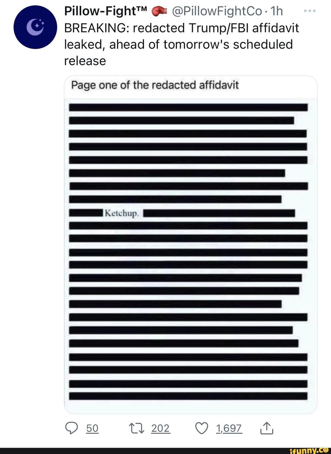 @PillowFightCo- BREAKING: redacted affidavit leaked, ahead of tomorrow ...