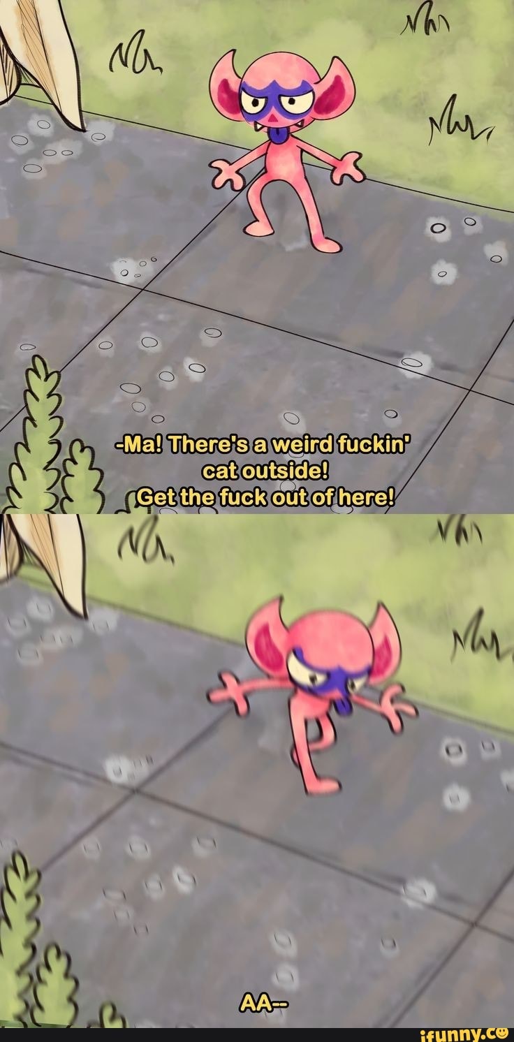 Impidimp memes. Best Collection of funny Impidimp pictures on iFunny