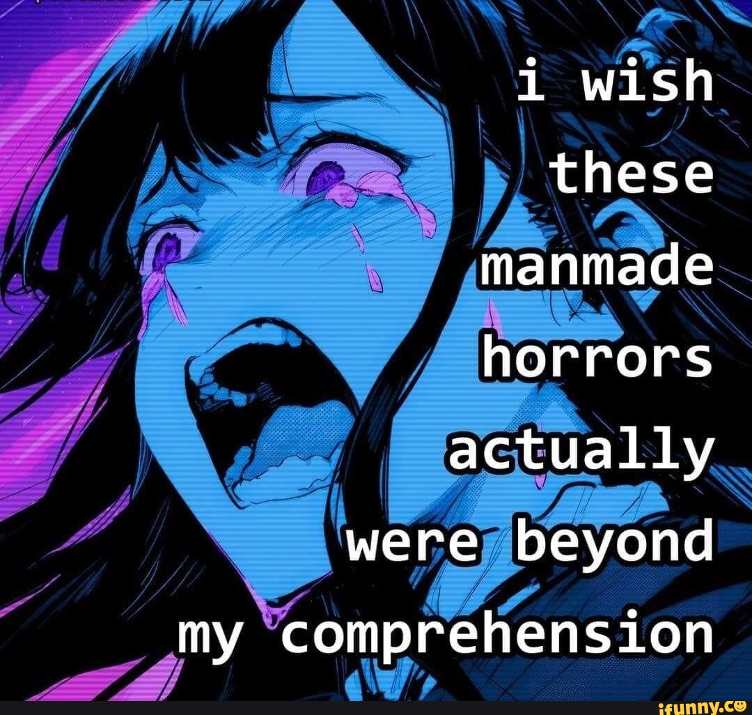 Wish these manmade horrors actually were beyond my comprehension - iFunny