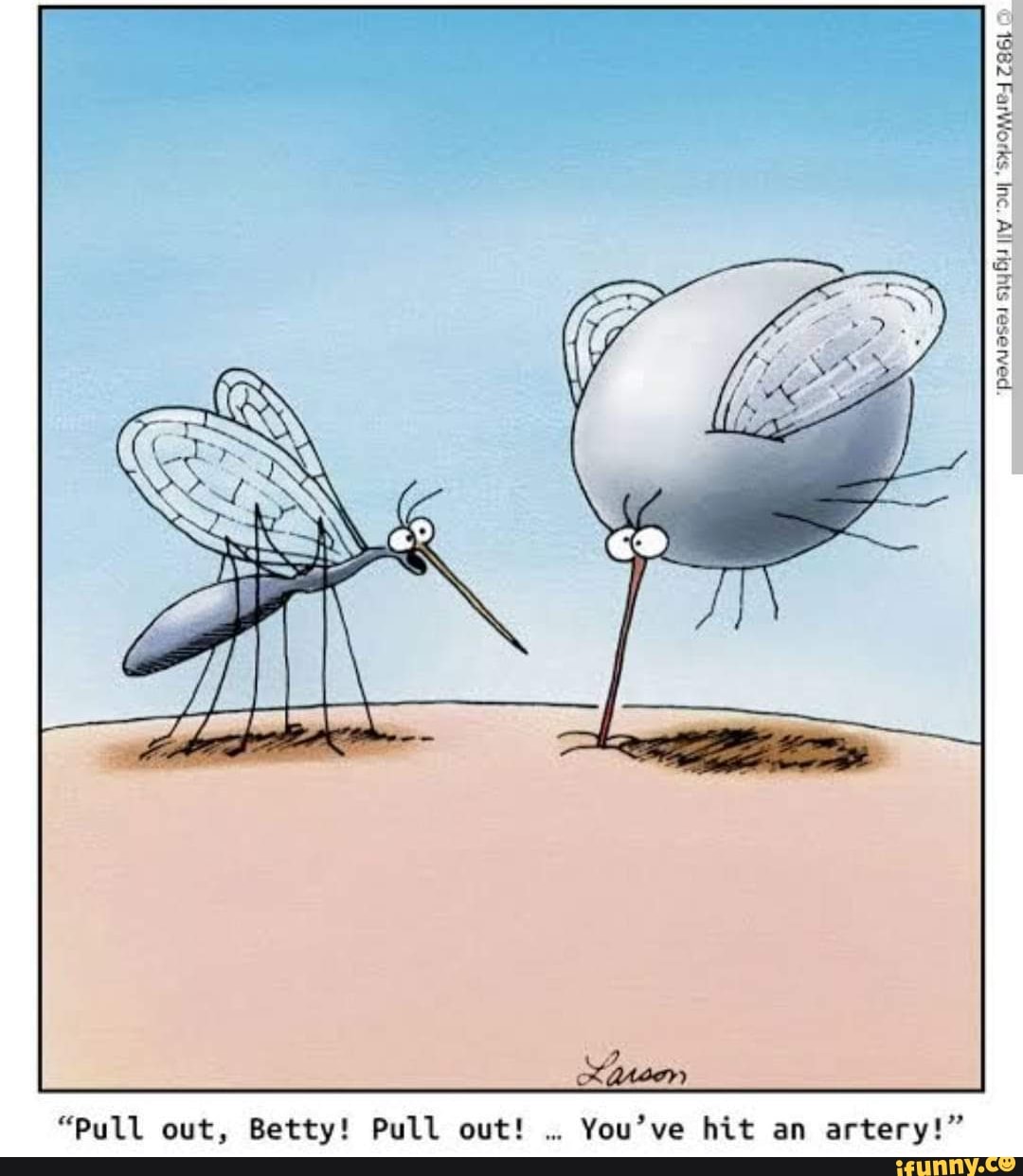 "Pull out, Betty! Pull out! You've hit an artery!" - iFunny