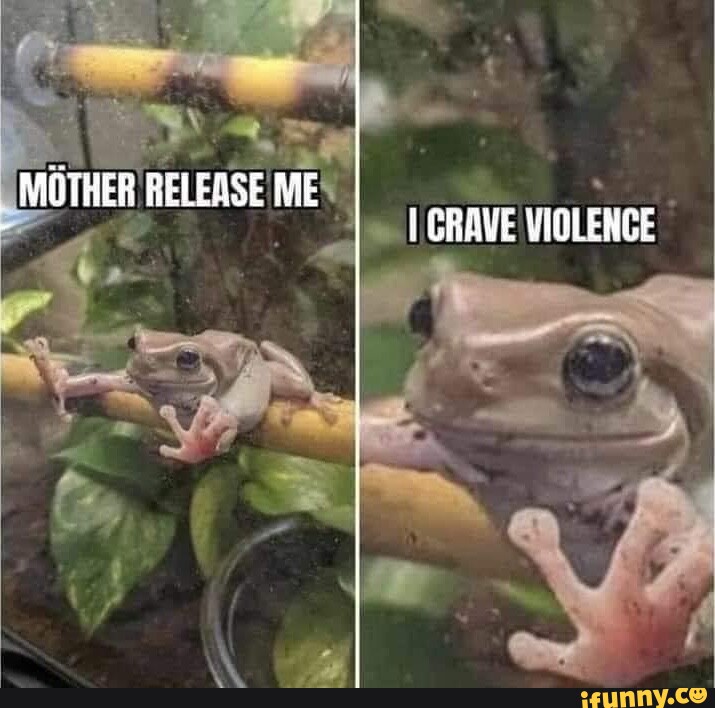 MOTHER RELEASE MIE I CRAVE WIOLENGE - iFunny