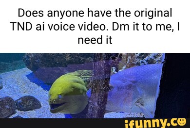 Does anyone have the original TND ai voice video. Dm it to me, I need ...