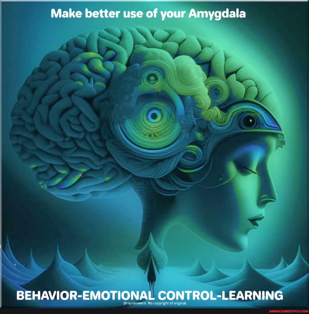 Make better use of your Amygdala BEHAVIOR CONTROL-LEARNING - America’s ...