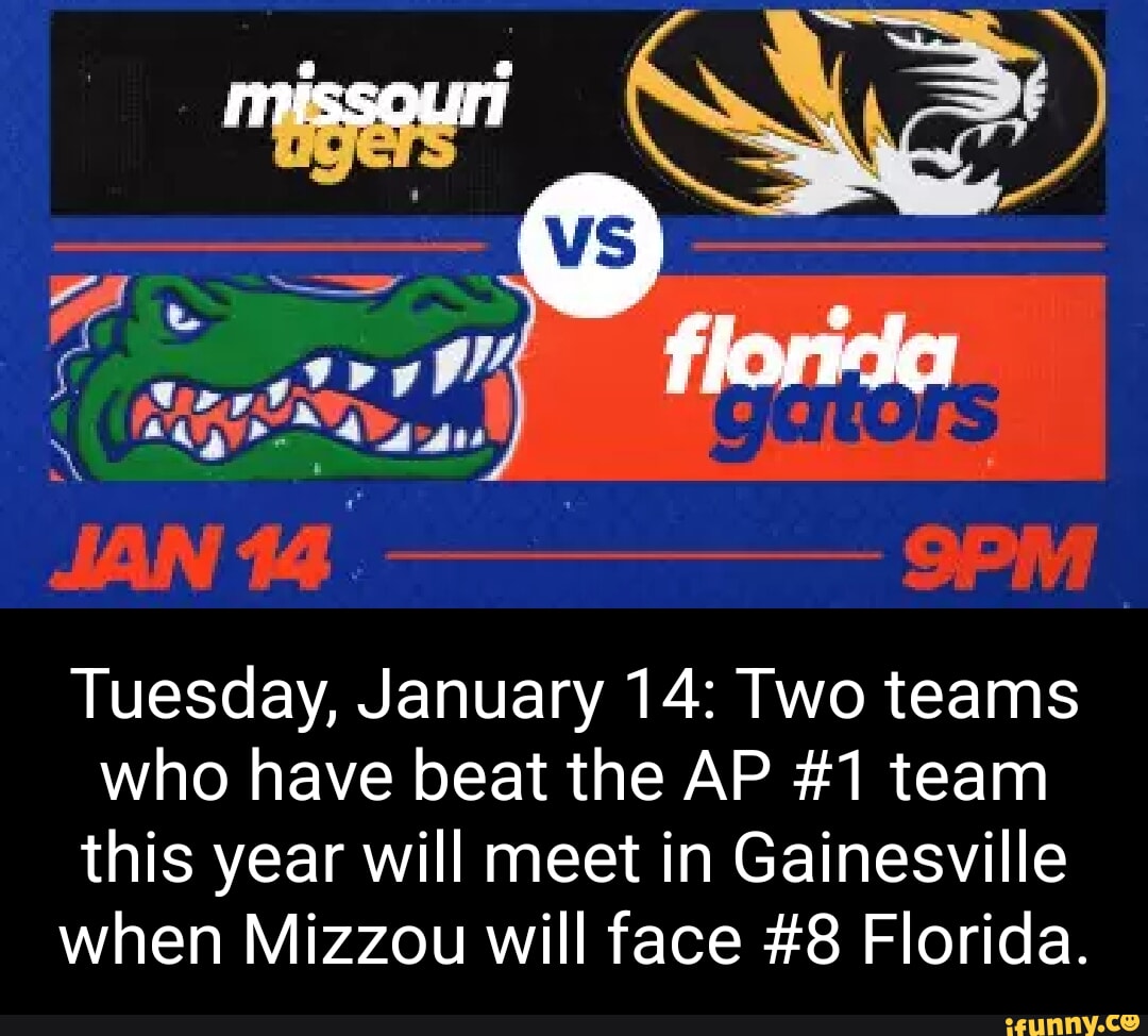Gators memes. Best Collection of funny Gators pictures on iFunny