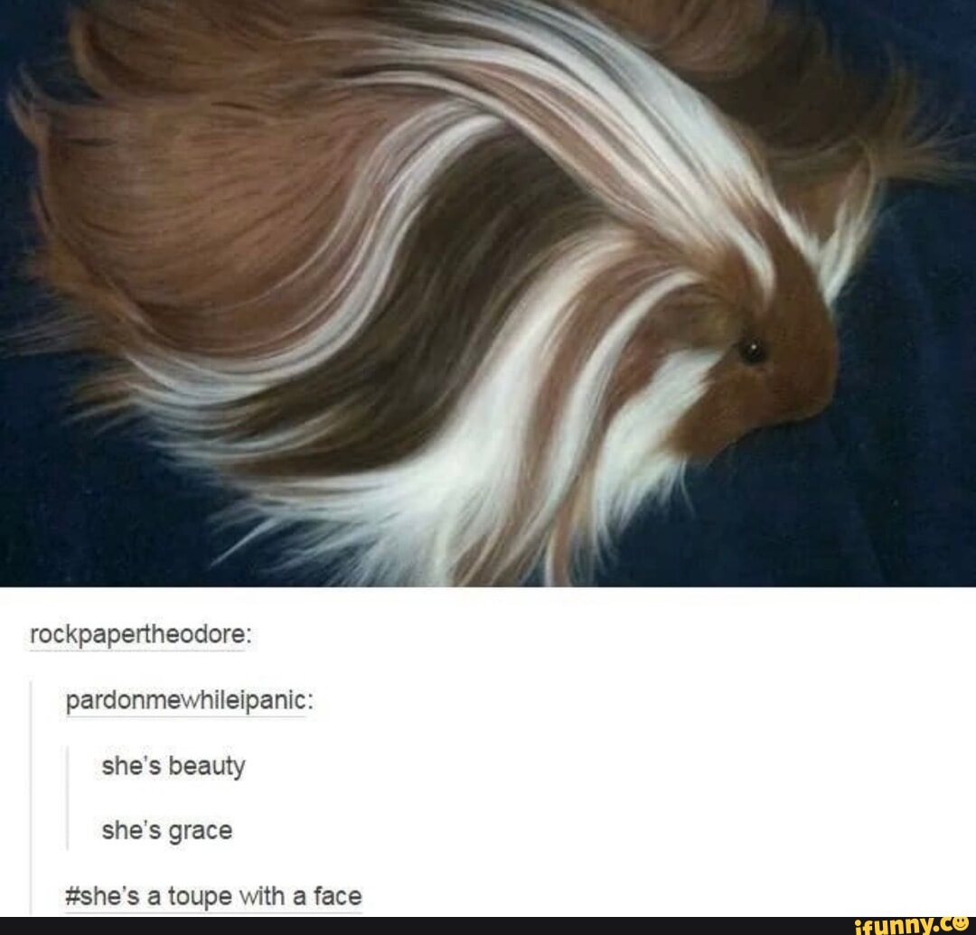 Posted by 98 redd It Fossils of a turtle the size of a car have been ...