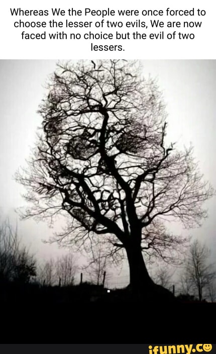 Old but Gold. The five stages of grief + a giraffe Watch full episodes ...