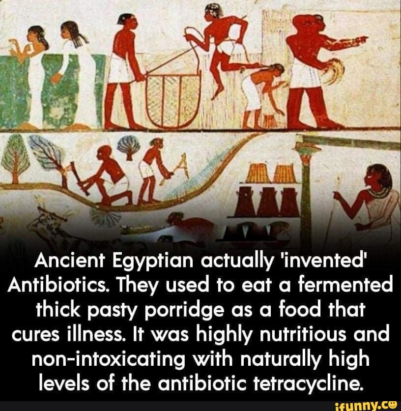 Ancient Egyptian actually 'invented' Antibiotics. They used to eat a ...